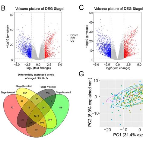 differential expression gene deg analysis and principal component download scientific diagram