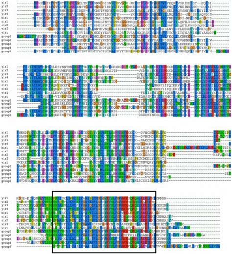 CLUSTALW Generated Multiple Sequence Alignment 189 Of Genes From Figure