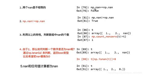 numpy中的nan和常用方法 numpy nan csdn博客