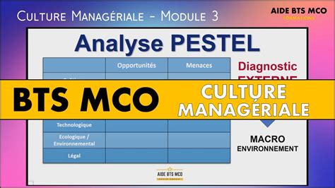 AIDE BTS MCO Comment Faire Une Analyse PESTEL En Management
