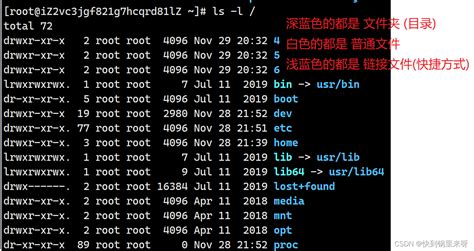 linux 常用命令 极客之音