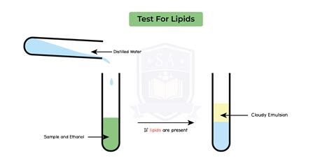 IGED BIO TOPIC 5 007 Test For Lipids Studia Academy Resources