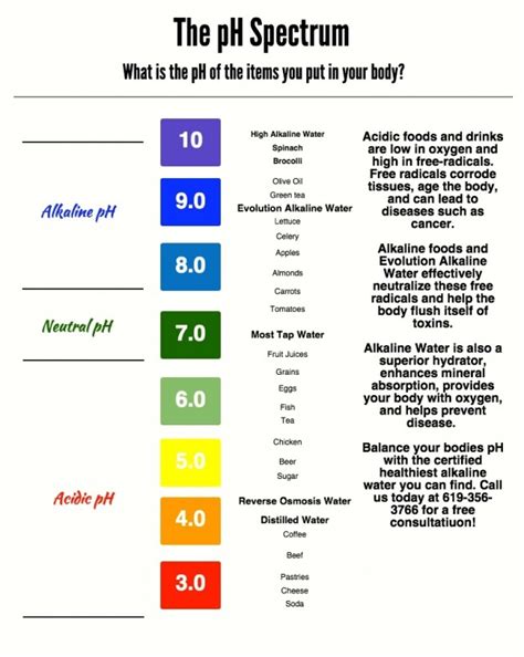 The Ph Spectrum Of Everyday Items A Guide To Understanding Acidity And Alkalinity Household