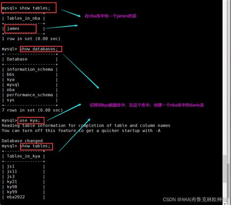mysql数据库基础语句 mysql数据库语句 csdn博客