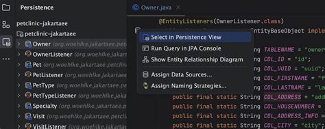 Jakarta Intellij Idea