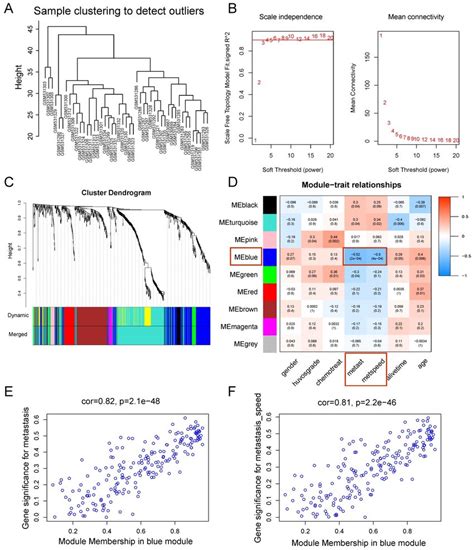 weighted gene co expression network analysis a sample clustering download scientific diagram