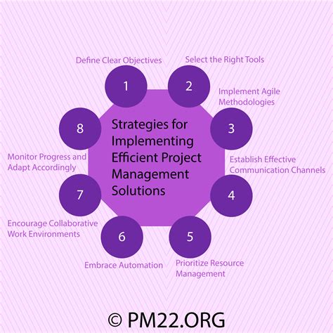 strategies for implementing efficient project management solutions project management society