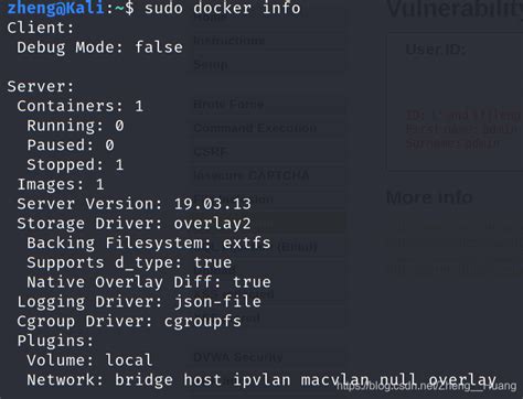 docker入门详解：简介、kali安装docker、配置与管理容器（实战） csdn博客