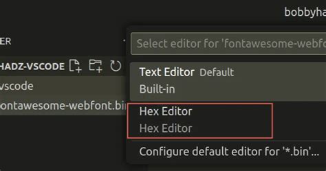 How To View And Edit Binary Files In Visual Studio Code Bobbyhadz