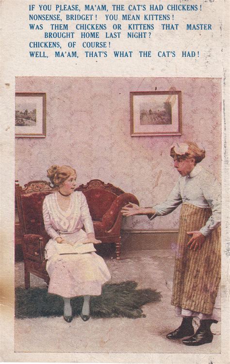 The Cats Breeding Chickens Birds Old Comic Humour Postcard Topics Humour Postcard Hippostcard