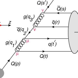 The Lowest Order Feynman Diagram Contributing To The Fragmentation Of A