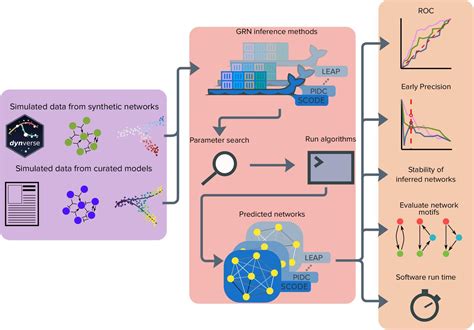 benchmarking algorithms for gene regulatory network inference from single cell transcriptomic