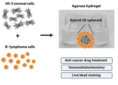 OncoTargets And Therapy Volume 15 Dove Press Open Access Publisher