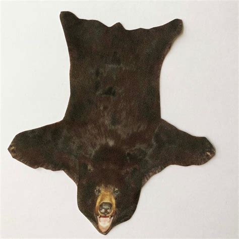 Bear Skin Rug Real Black Bear Olde Chicago Antiques Ubicaciondepersonascdmxgobmx