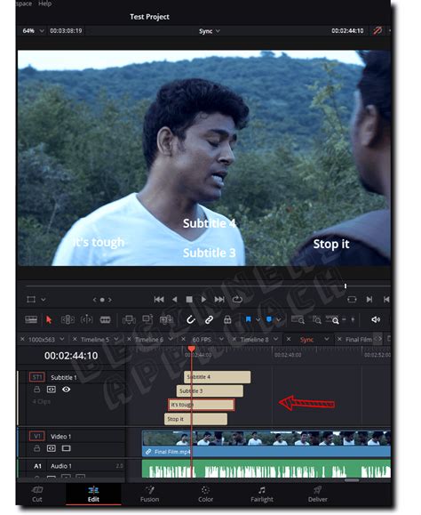 DaVinci Resolve Add Multiple Subtitles Use THIS Feature