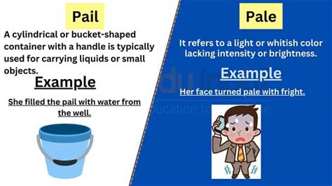 What Is The Difference Between Bucket And Pail Bucket Vs