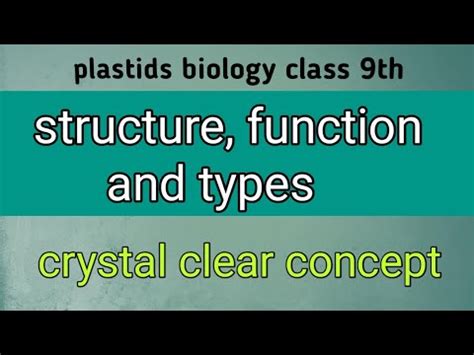 Plastids Class 9th Plastids Structure And Function Plastids Diagram