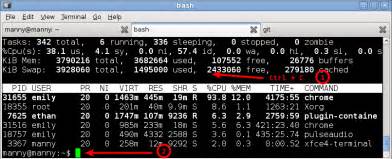How To Run Xfce Terminal With Different Commands Per Tab And Keep Using