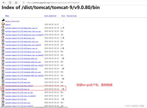 tomcat服务安装步骤以及详细配置教程 tomcat安装及配置教程 csdn博客