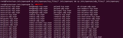 Setup OpenVPN On Kali Via Command Line FastestVPN Support