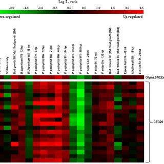 Heatmap Constructed To Illustrate The Fold Change Log2 In Expression