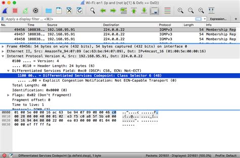 Understanding Wireshark Capture Filters