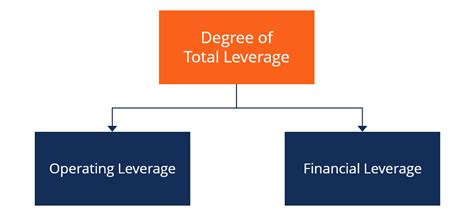 Degree Of Total Leverage Definition Components