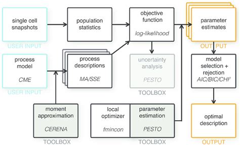 workflow for modeling parameter estimation and model selection user download scientific