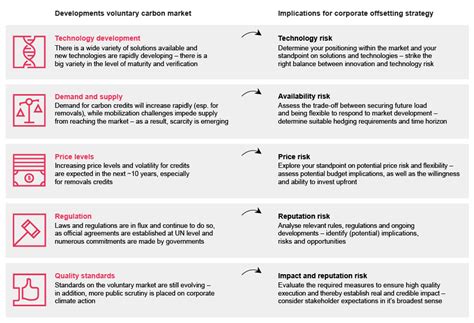Carbon Offsetting Strategy