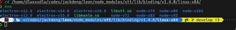 error cannot find module leon node modules stt lib binding v1 4 0 linux x64 node v108 stt