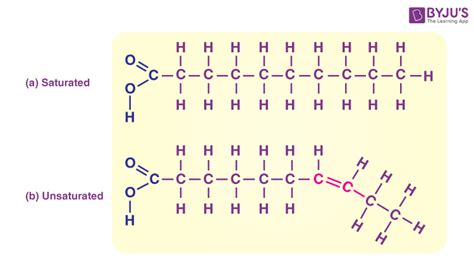 What Are Lipids Definition Structure Classification Of Lipids