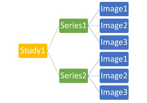 frisbee a simple dicom editor codeproject