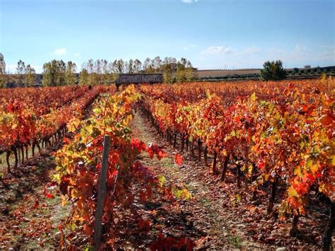 La Rioja Destina 1 8 Millones De Euros En Ayudas Para El