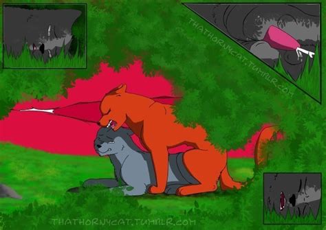 Rule 34 Blue Fur Bluestar Warriors Cum Feline Female Feral Firestar Warriors Fur Grey Fur