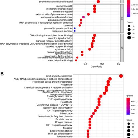 KEGG Pathway Enrichment Analysis Of Core Targets A Barplot And