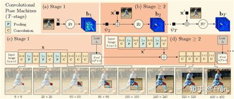 人体姿态估计综述 human pose estimationandaction recognition） 知乎