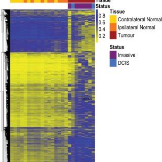 Heatmap With Unsupervised Hierarchical Clustering Based On Manhattan