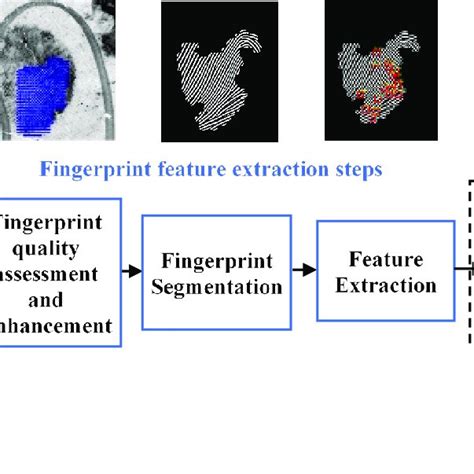 automated latent fingerprint recognition system download scientific diagram