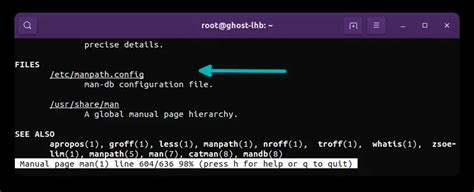 Understanding The Man Pages In Linux