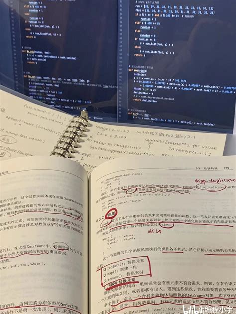 python入门真的不难！！！ 哔哩哔哩