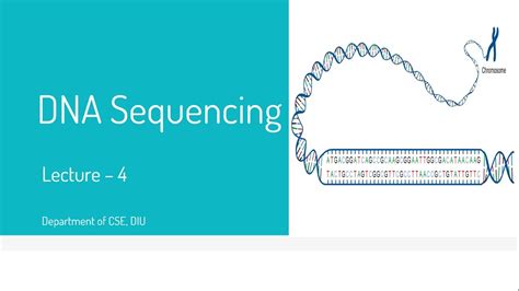 dna sequencing sanger method lecture 2 youtube