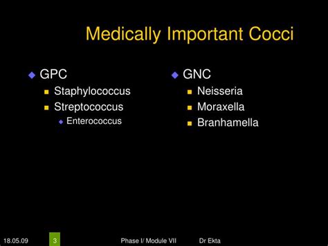 PPT Medically Important Bacteria Gram Positive Cocci PowerPoint