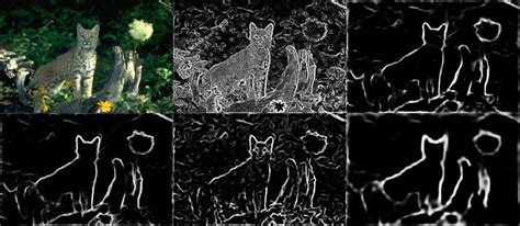 holistically nested edge detection papers with code