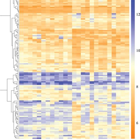 DEG Visualization Analysis A Heatmap Showing The Expression Levels