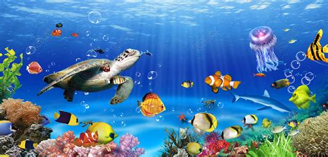 卡通动物海底世界海洋海水banner背景图片免费下载 觅知网