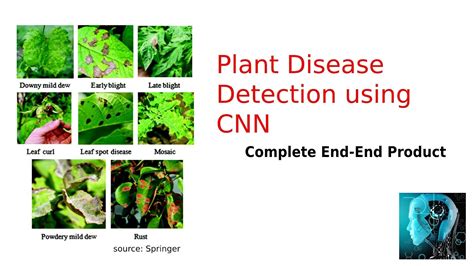 Plant Disease Detection Using Cnn Youtube
