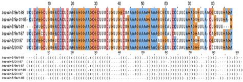 multiple sequence alignment performed by clustalw [31] and visualized download scientific