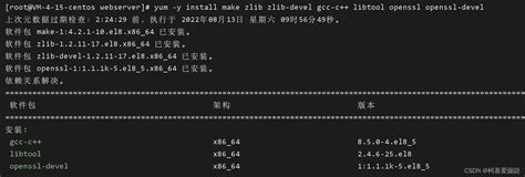 linux nginx的安装与配置（全程图文记录超详细） linux nginx安装及配置教程 csdn博客