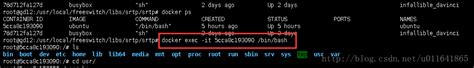 docker进入启动容器的方法 大数据 亿速云