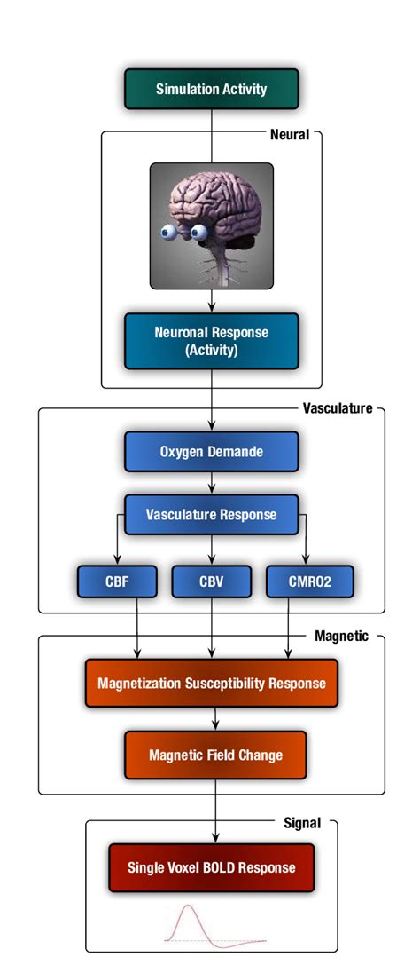 2 a simplified block diagram of the underlying principle of fmri download scientific diagram